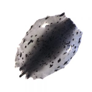 Bill Worb Furs-Canadian Seal Products